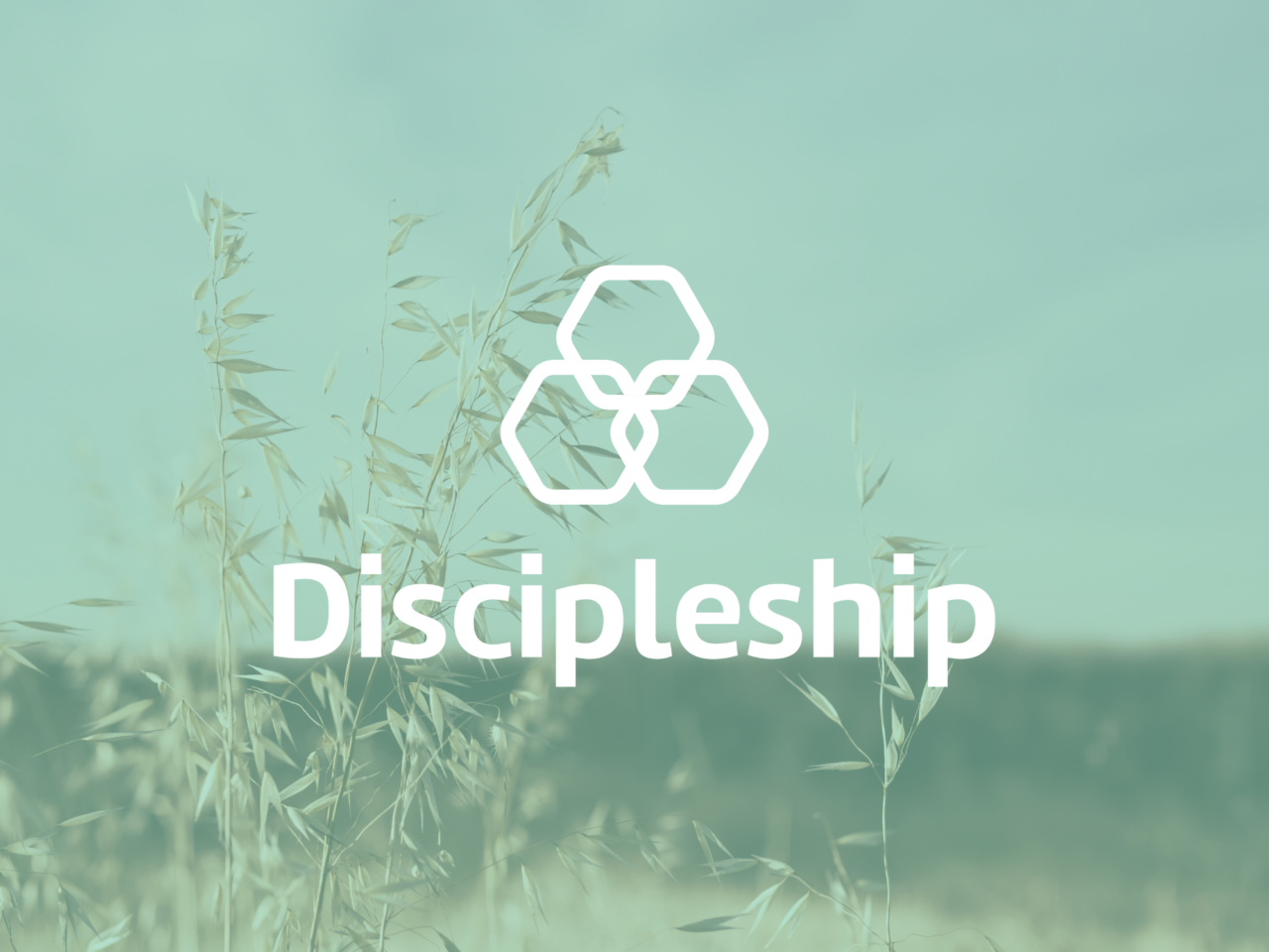 Church Multiplication & Discipleship - The Wesleyan Church